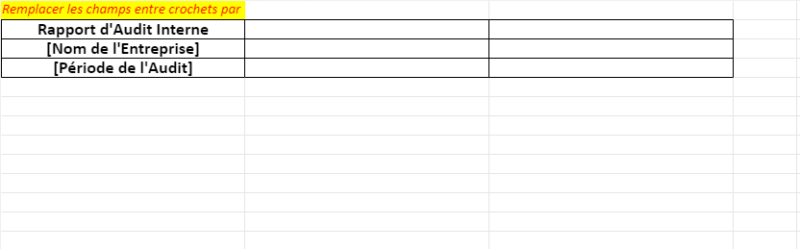 Modèle de Rapport d'audit interne d'une entreprise
