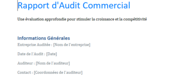 Télécharger un modèle de rapport audit commercial Word +Excel