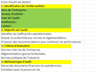 Fiche d'Audit de Gestion : Modèle Excel