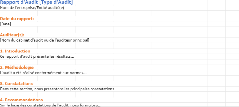 Le rapport d'audit : Modèle template Excel