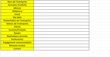 La Fiche Entreprise : Modèle Excel