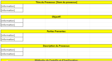La fiche de processus dans la pratique : Modèle Excel et Exemple