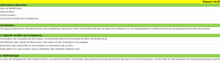 Rapport Bilan de Compétences : Modèle