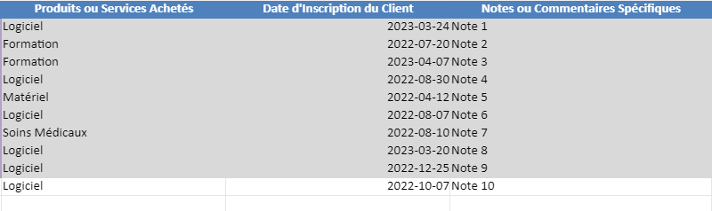 Modèle de Fichier Client Excel : Définition, Fonctionnalités et ...
