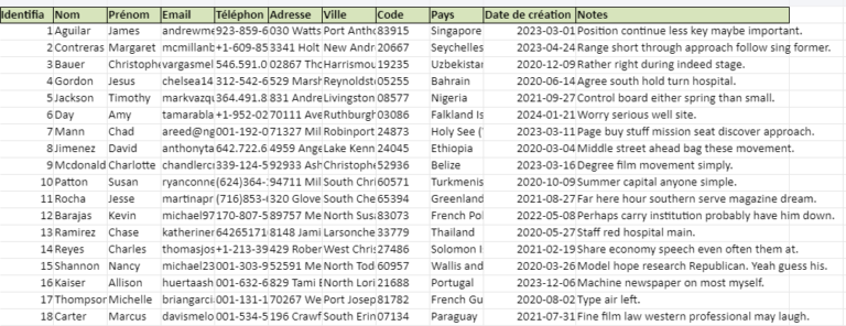 Fiche Client vs. Fichier Client : Différences + Modèles Excel