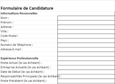 Formulaire de Candidature : Modèle Word