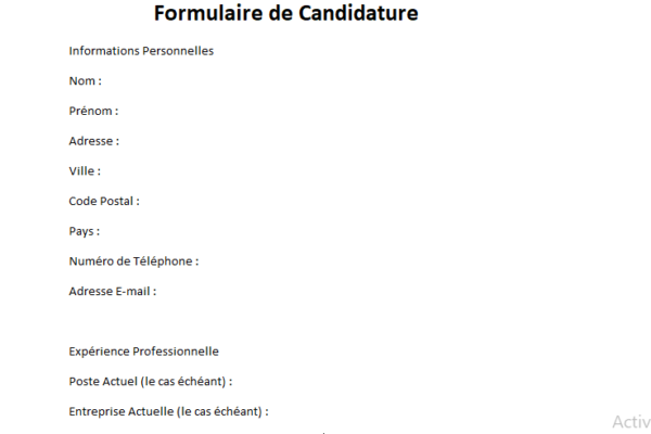 Formulaire de Candidature : Modèle Word