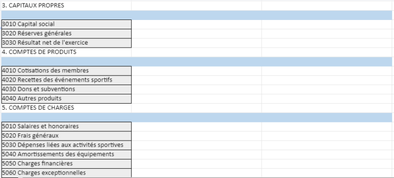 Plan comptable d'une association sportive : Modèle