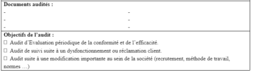 Modèle de Rapport d'Audit Interne dans Word et application