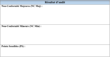 Modèle de Rapport d'Audit Interne dans Word et application