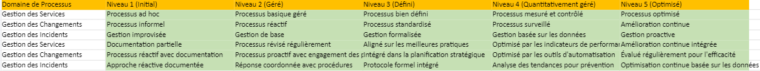 Audit de l'Existant : Méthodes et Modèles Excel