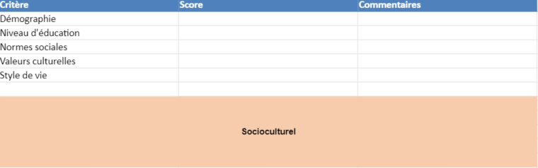 Audit de l'Existant : Méthodes et Modèles Excel