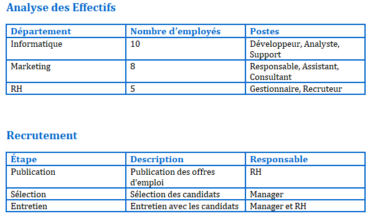 Plan de Gestion des Ressources : 5 Templates Excel