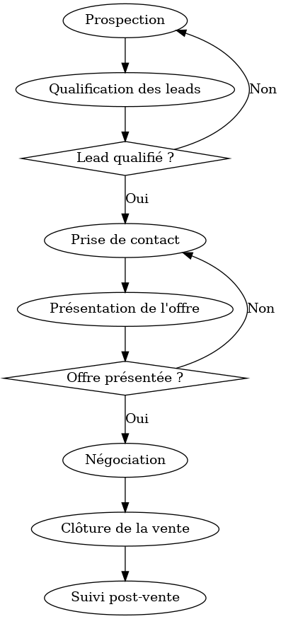 Cartographie du Processus Commercial : Modèle Excel
