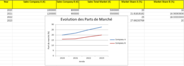 Calcul de la Part de Marché dans Excel : Indicateurs