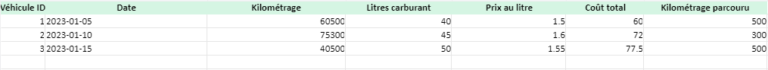 Gestion du Parc Automobile : Modèle Excel Personnalisable