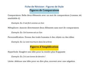 Programme de Révision des Figures de Style Fiche