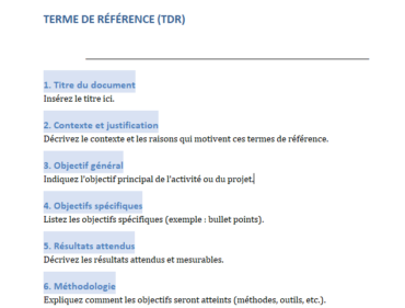 Canevas Word à Remplir pour créer des (TDR)