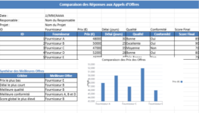 Rapport d’Analyse des Offres et Réponses aux Appels d'Offres