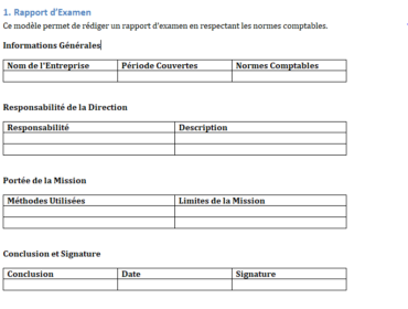 Rédaction d’un Rapport d’Examen et de Compilation - Modèle