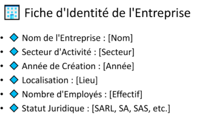 Fiche d’Identité d’Entreprise & Rapport de Scène : Modèle Excel
