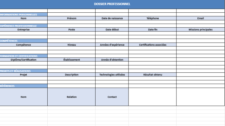 Dossier Professionnel : Définition, Rôle et Structure , Formats