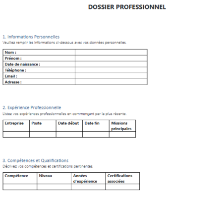 Dossier Professionnel : Définition, Rôle et Structure , Formats