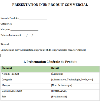Réaliser une Présentation Efficace d’un Produit Commercial