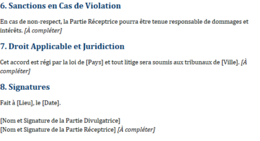 Rédiger un Accord de Confidentialité : Modèle et Canevas