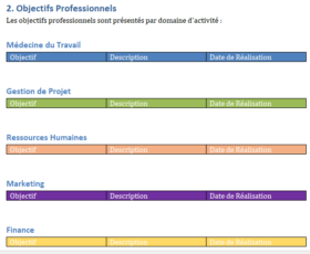 Exemples d’Objectifs Professionnels : Canevas Word