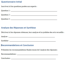 Méthode Delphi : Fiche Technique, Définition, Processus