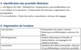 Analyse Littéraire : Fiche Méthode Complète