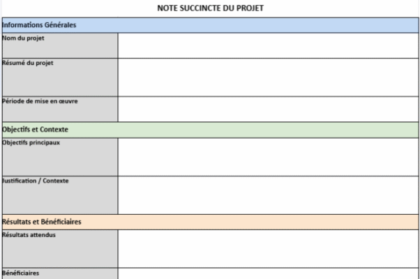Fiche de Projet vs. Note Succincte de Projet / Deux Modèles Excel