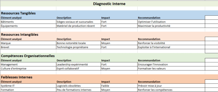 Tableau de Diagnostic Interne : Modèles Excel