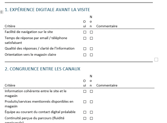 Grille Client Mystère Omnicanale : Modèle Word