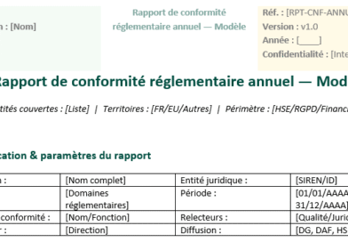 Rapport d’Audit de Conformité : Structure et Modèle Word